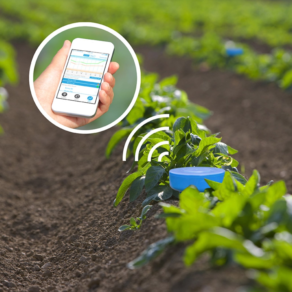 Kenniscentrum - bewust beregenen | Wildkamp